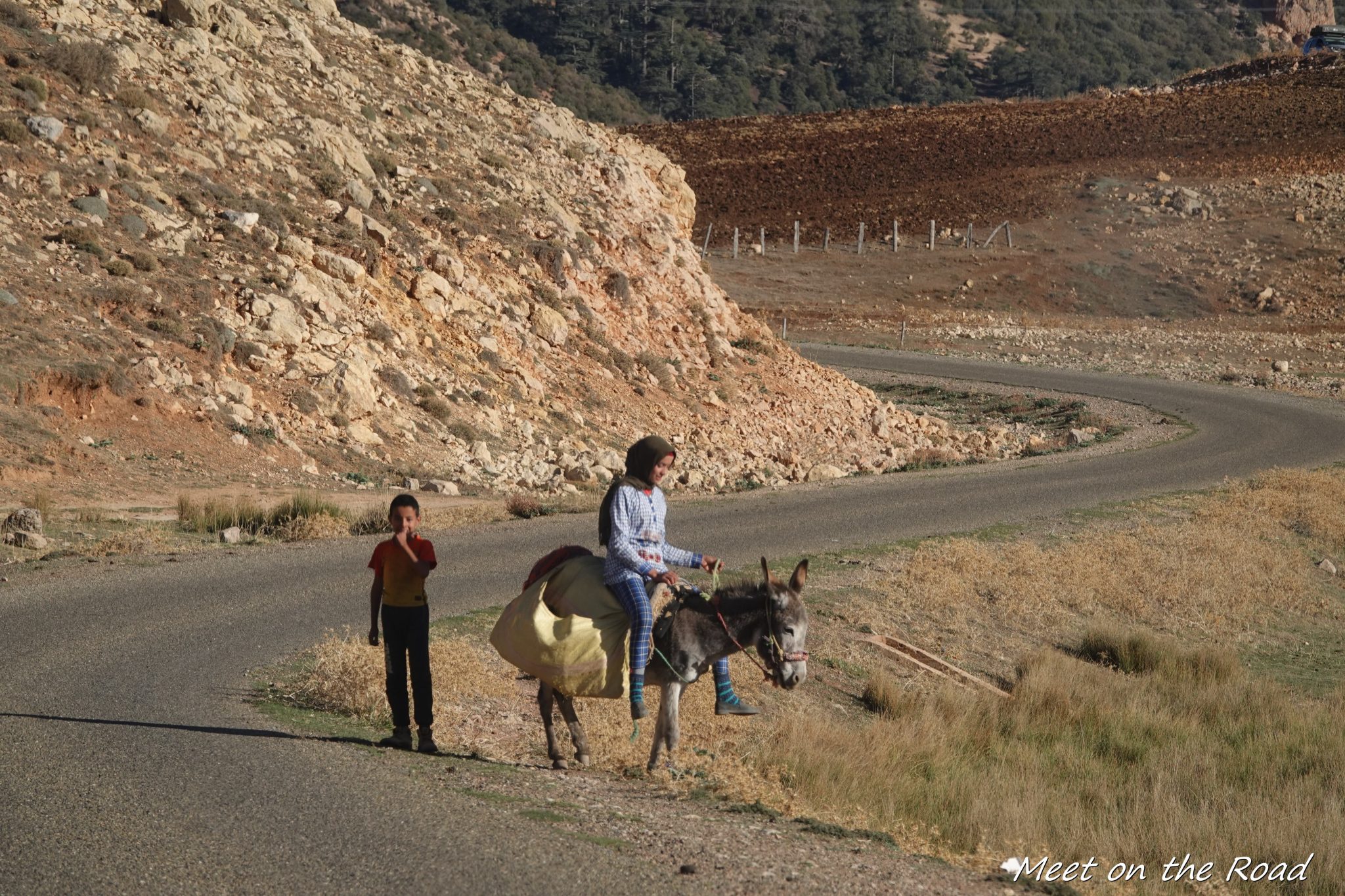 Roadtrip 4x4 Maroc : La piste des Cèdres - VirLoBlog and Meet on the Road